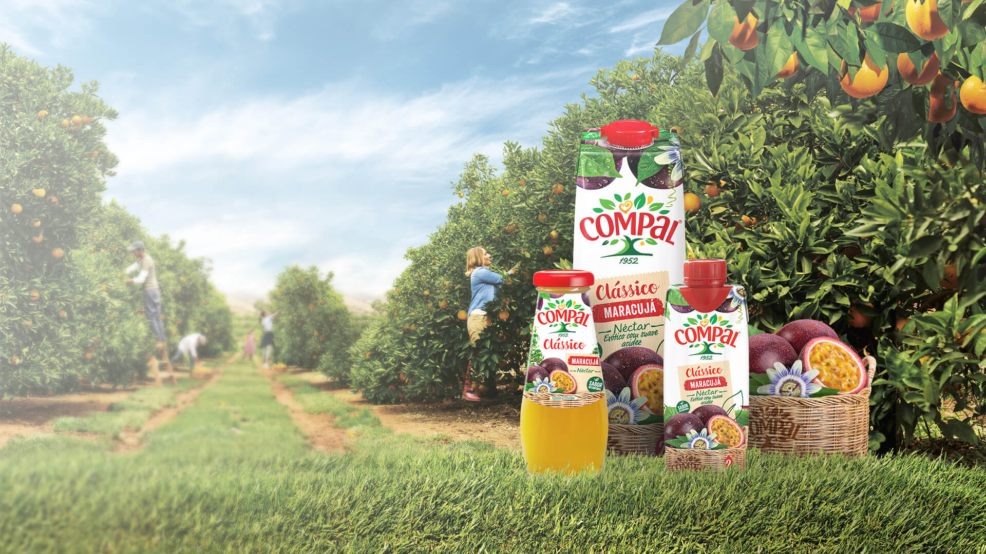 Néctar Maracujá | Clássico | Compal