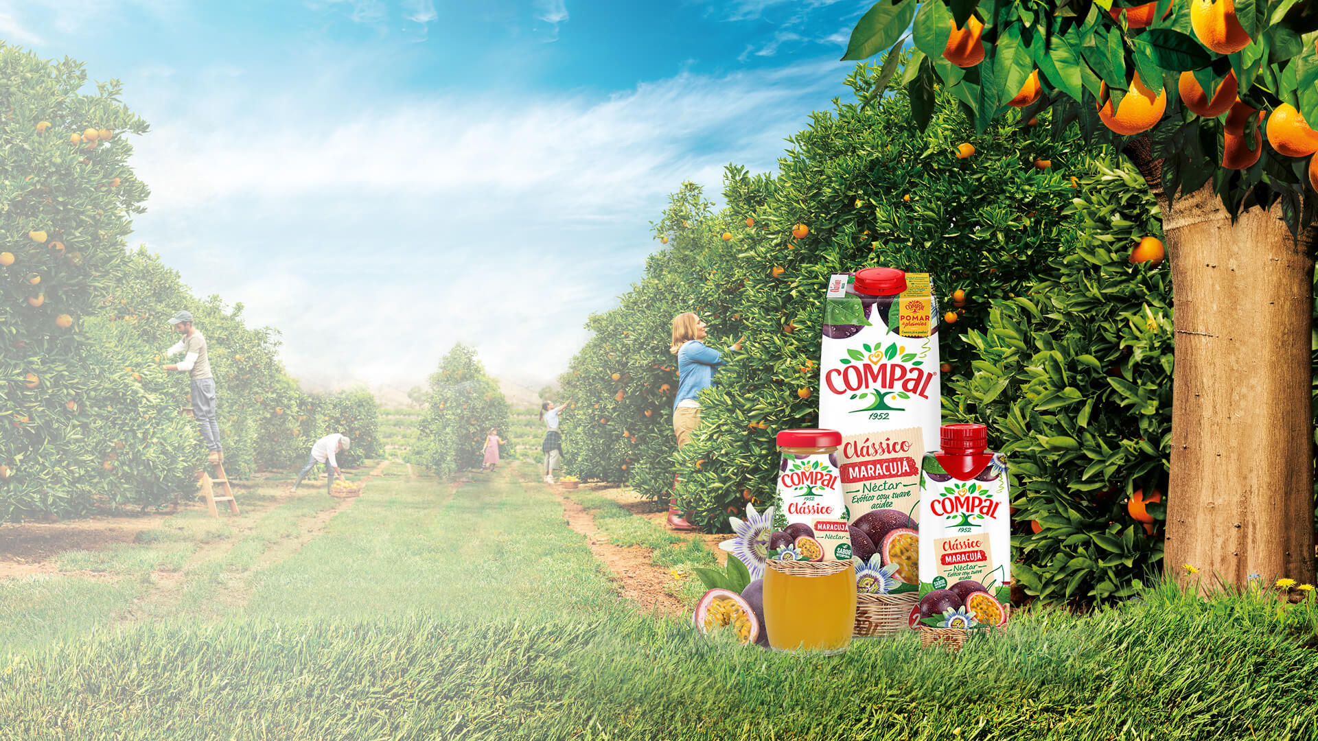 Néctar Maracujá | Clássico | Compal