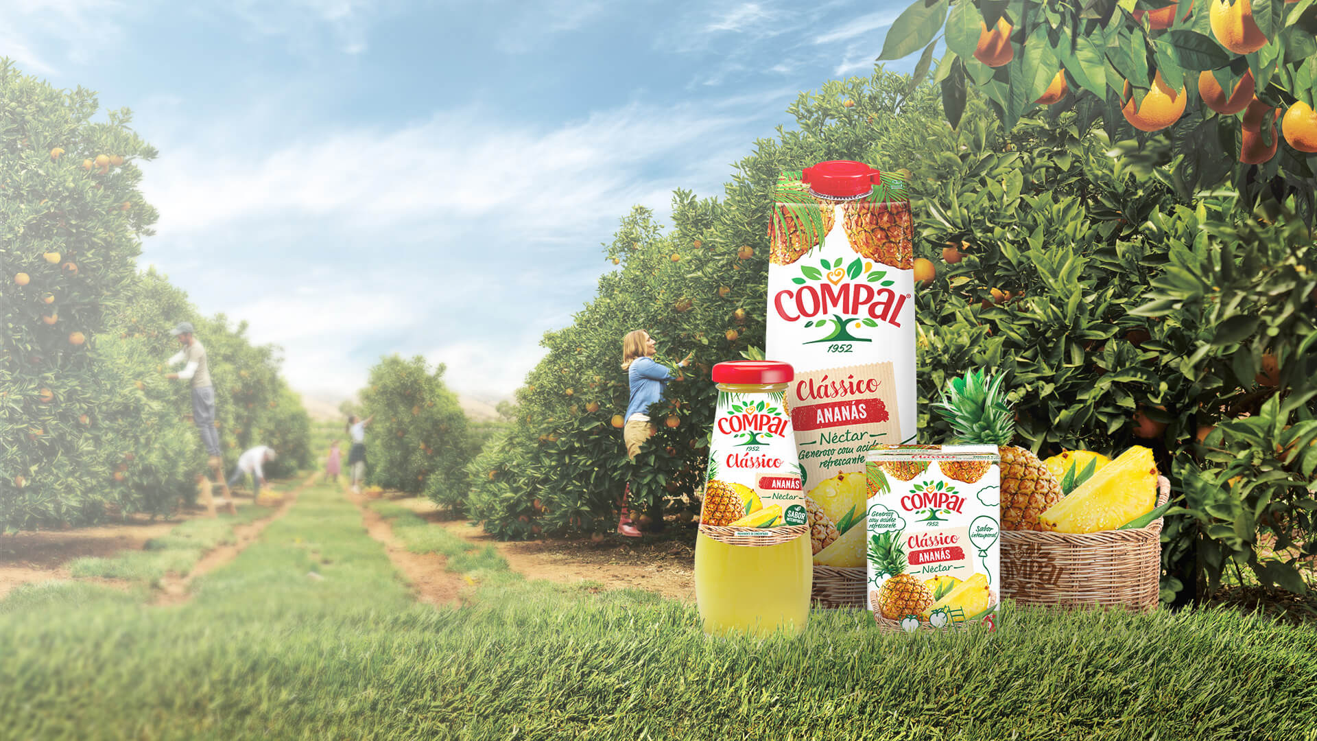 Néctar Ananás | Clássico | Compal