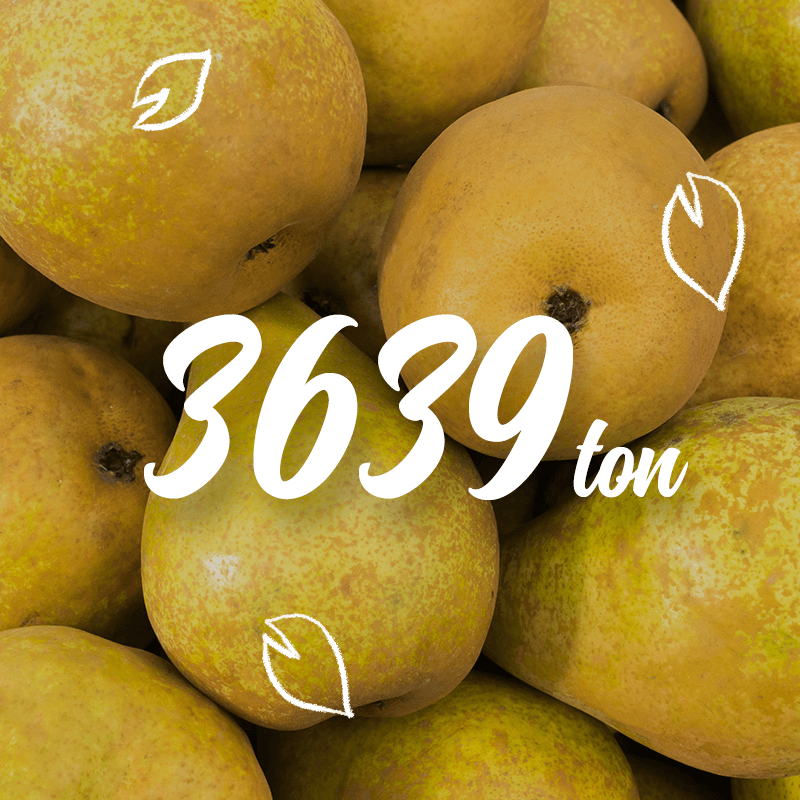 Produção | O Amanhã Importa | Compal